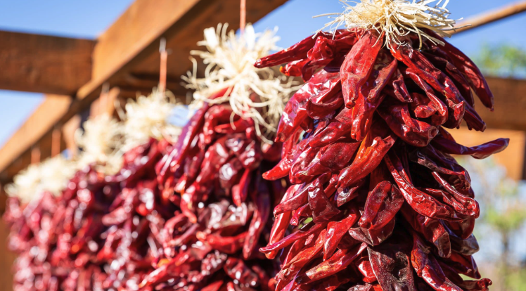 Exploring the Iconic Tradition of Hatch Chile Ristras - Dailyusatips